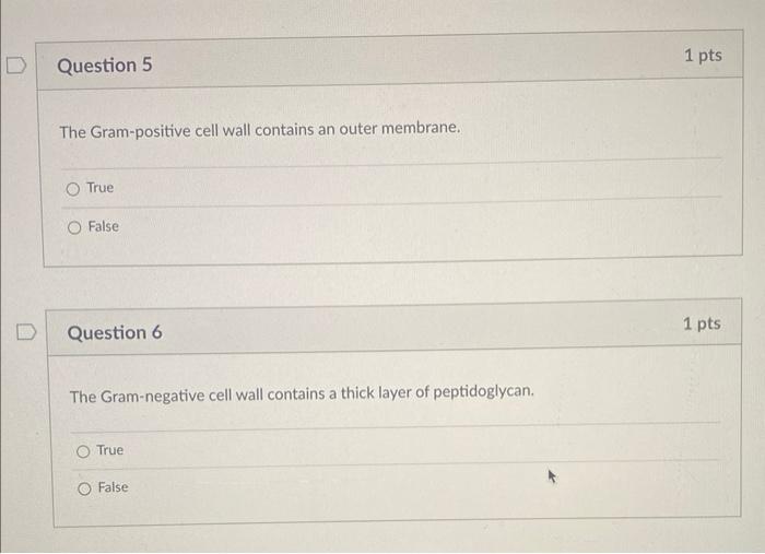 Solved The Gram-positive cell wall contains an outer | Chegg.com