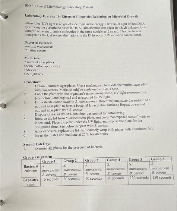 Solved Index card UV light box Procedure: 1. Obtain 2 | Chegg.com