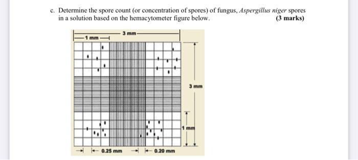 Solved C Determine The Spore Count Or Concentration Of