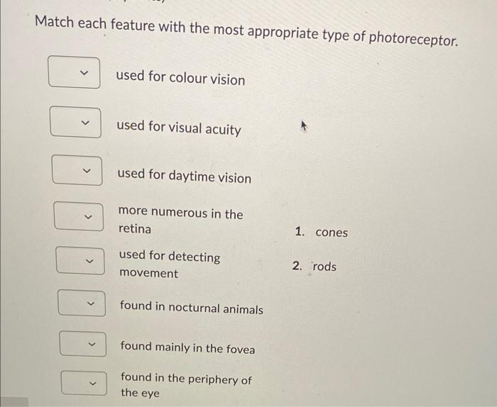 Solved Match each feature with the most appropriate type of | Chegg.com