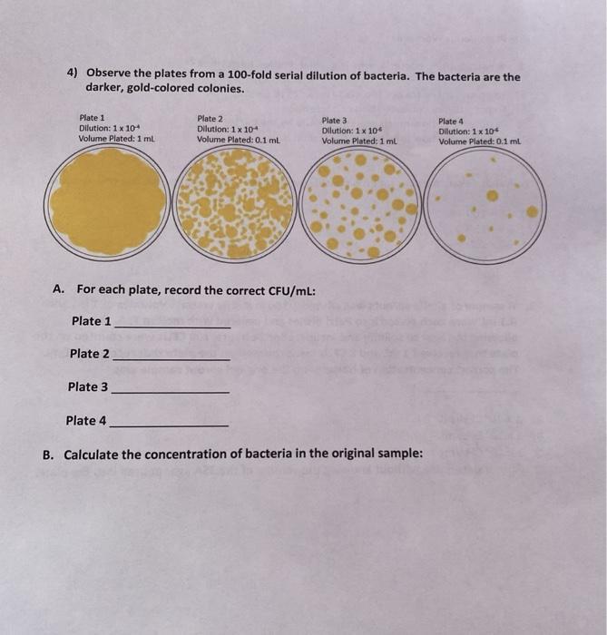 Solved Viable Plate Count Worksheet 1. When counting | Chegg.com