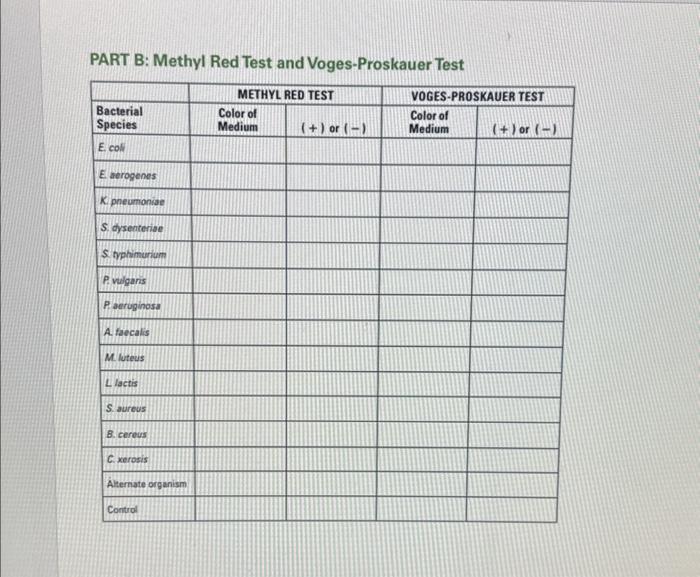 Observations and Results PART A: Indole Production | Chegg.com