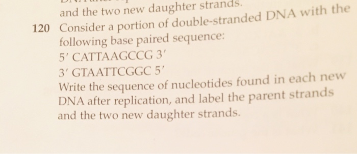 Solved and the two new daughter strands. 120 Consider a | Chegg.com