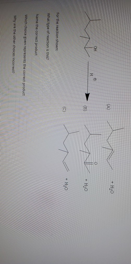 Solved + H2O OH 1 + H2O + H2O For the reaction shown: What | Chegg.com