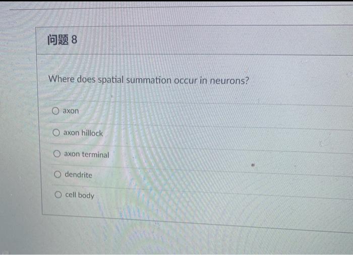 Solved la 8 Where does spatial summation occur in neurons? | Chegg.com
