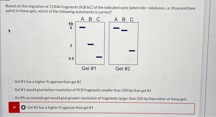 Solved Based on the migration of 3 DNA fragments \\( (A, B | Chegg.com