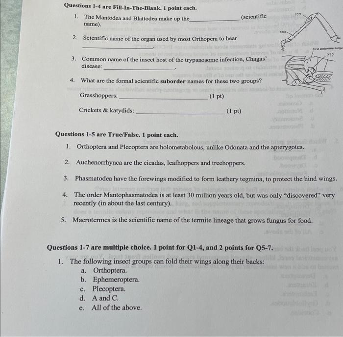 Solved Questions 1-4 are Fill-In-The-Blank. 1 point each. 1. | Chegg.com