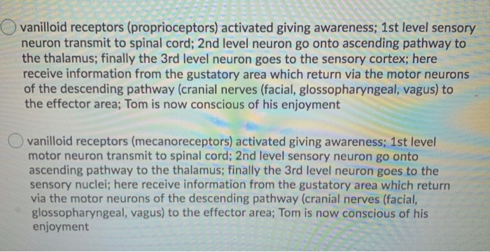 Solved Question 1 (2 Points) In our somatosensory system, 3 | Chegg.com