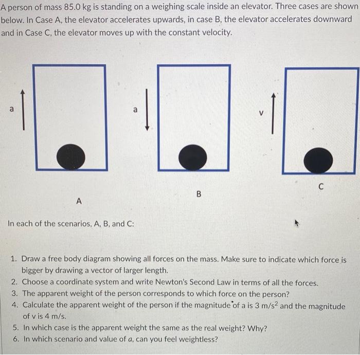 Solved A person of mass 85.0 kg is standing on a weighing | Chegg.com