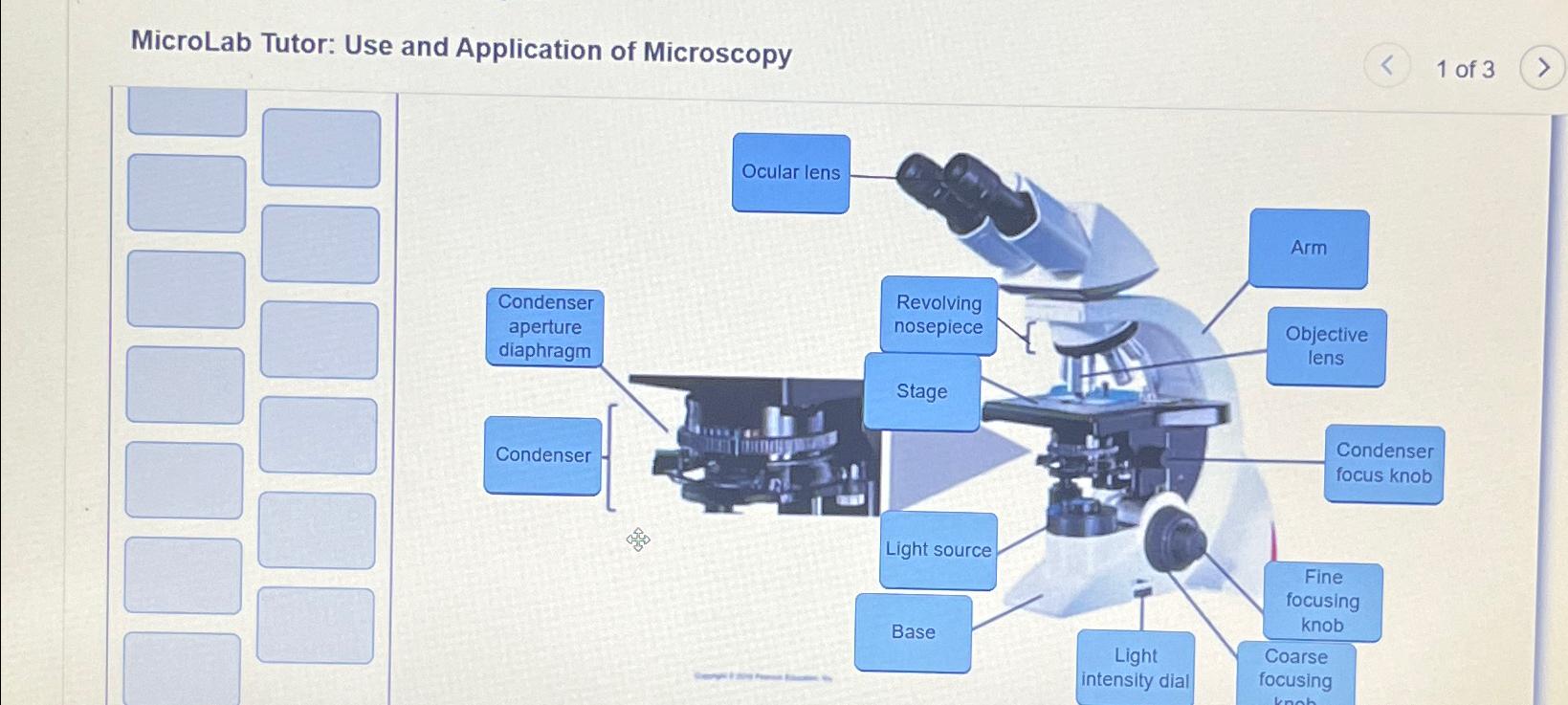 Solved MicroLab Tutor: Use and Application of Microscopy1 | Chegg.com