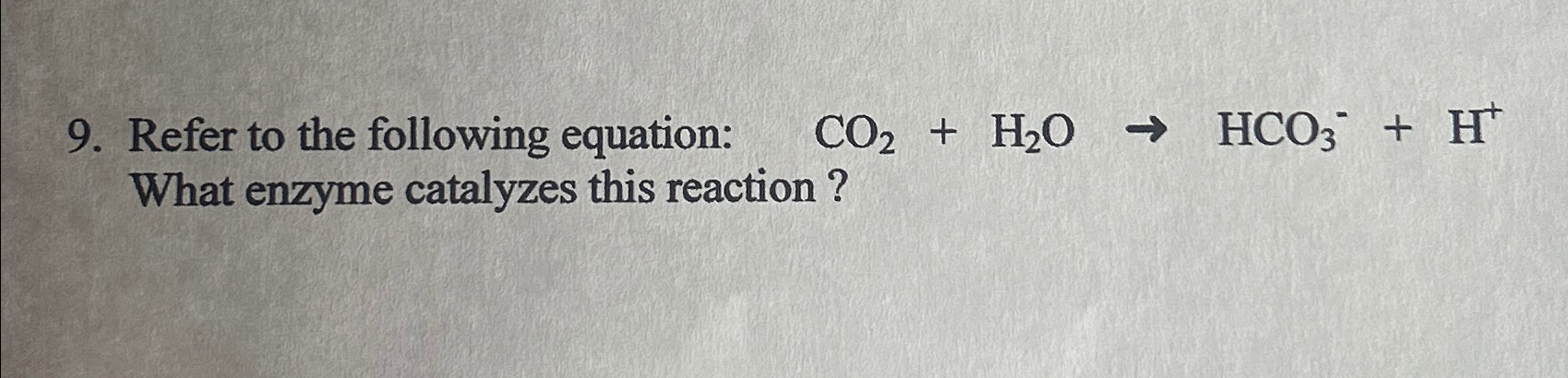 Refer to the following equation: CO2+H2O→HCO3-+H+ | Chegg.com