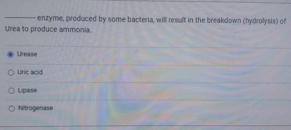 Solved ﻿enzyme, produced by some bacteria, will result in | Chegg.com