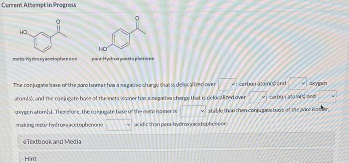 Solved Current Attempt in Progress metar-Hydroxyacetophenone | Chegg.com