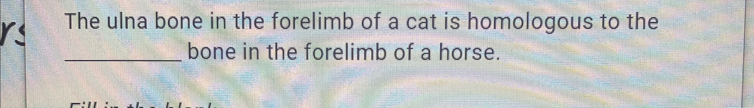 Solved The ulna bone in the forelimb of a cat is homologous | Chegg.com