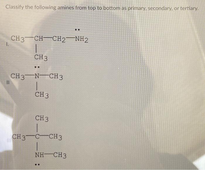 Solved Classify the following amines from top to bottom as | Chegg.com