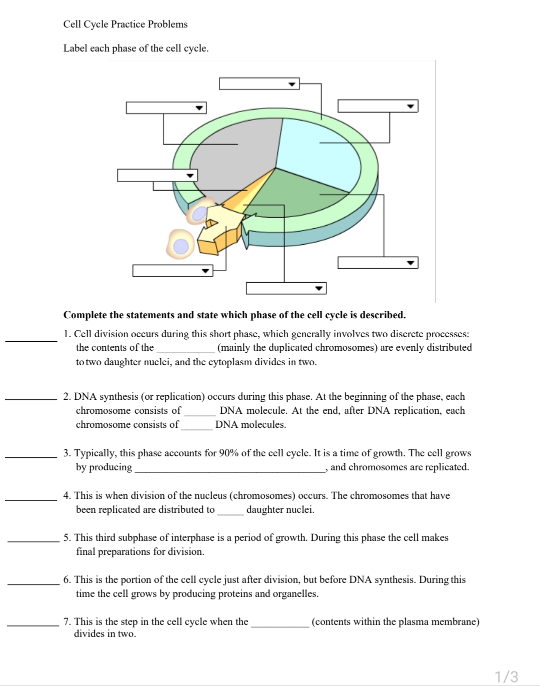 Solved Cell Cycle Practice ProblemsLabel each phase of the | Chegg.com