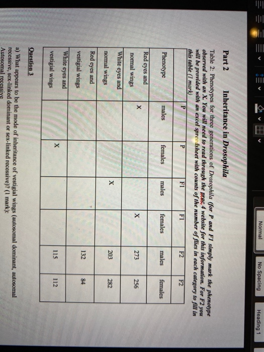 Solved Normal No Spacing Heading 1 Part 2 Inheritance in | Chegg.com
