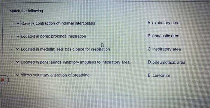 Match the following Causes contraction of internal | Chegg.com