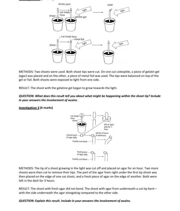 Solved Assignment: Investigating the effects of plant | Chegg.com