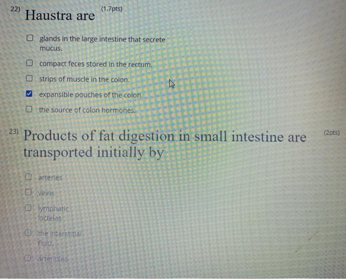 Solved 22) (1.7pts) Haustra are glands in the large | Chegg.com