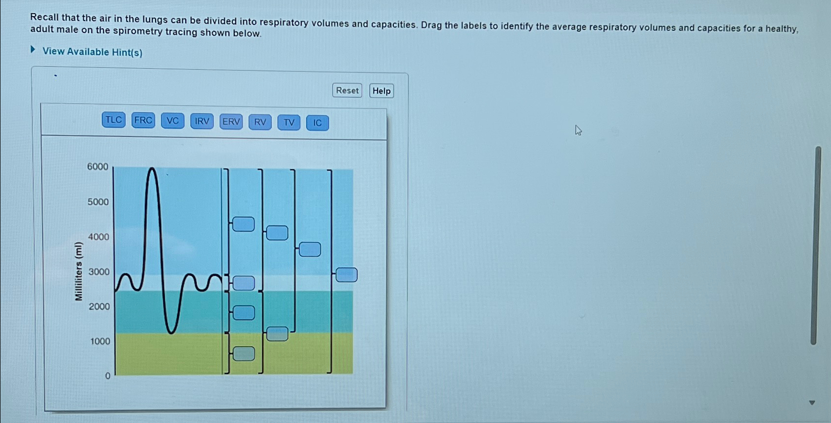 Solved Recall that the air in the lungs can be divided into | Chegg.com