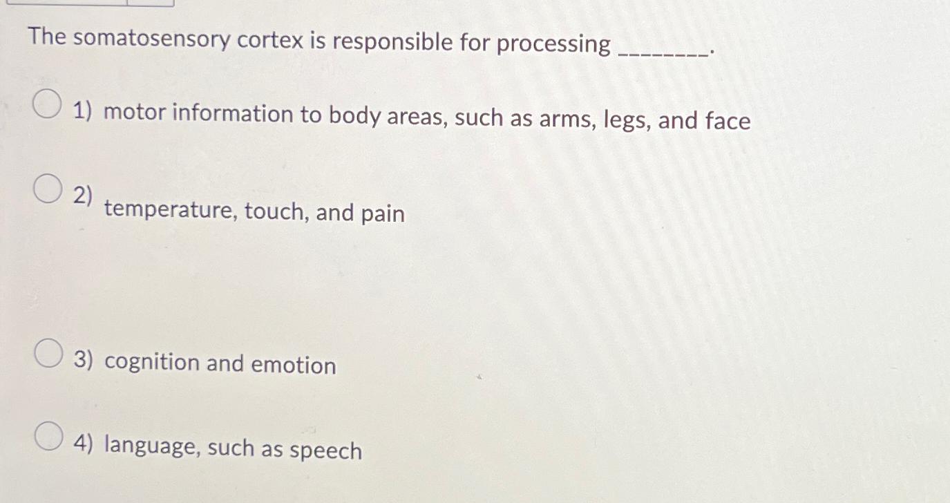 Solved The somatosensory cortex is responsible for | Chegg.com