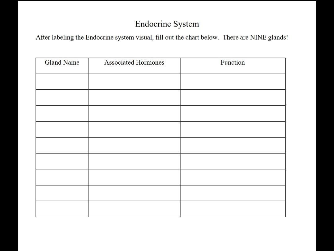 Solved ORINE SVSTEM Endocrine System After labeling the | Chegg.com