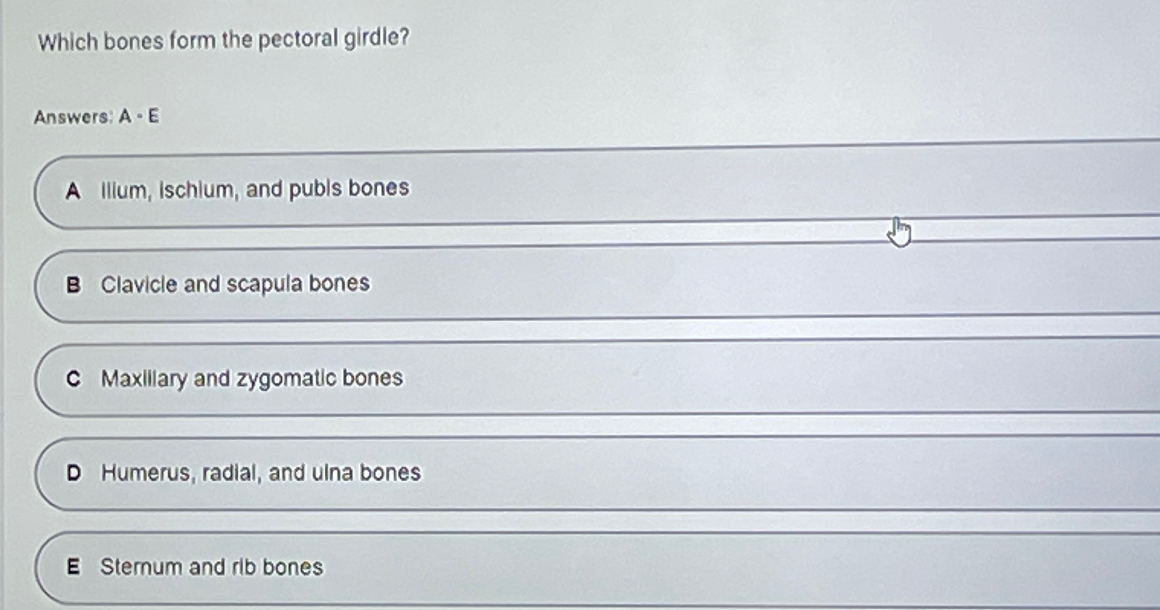 Solved Which bones form the pectoral girdle?Answers: A*EA | Chegg.com