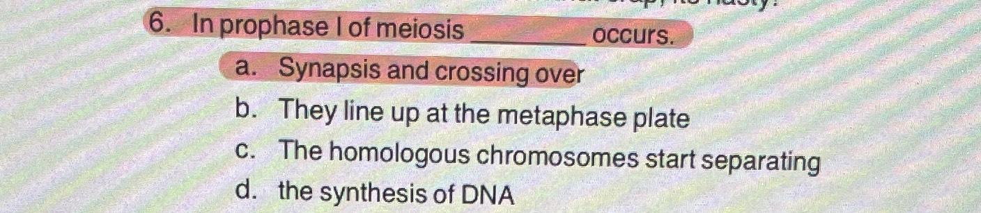 Solved In prophase I of meiosis occurs.a. ﻿Synapsis and | Chegg.com