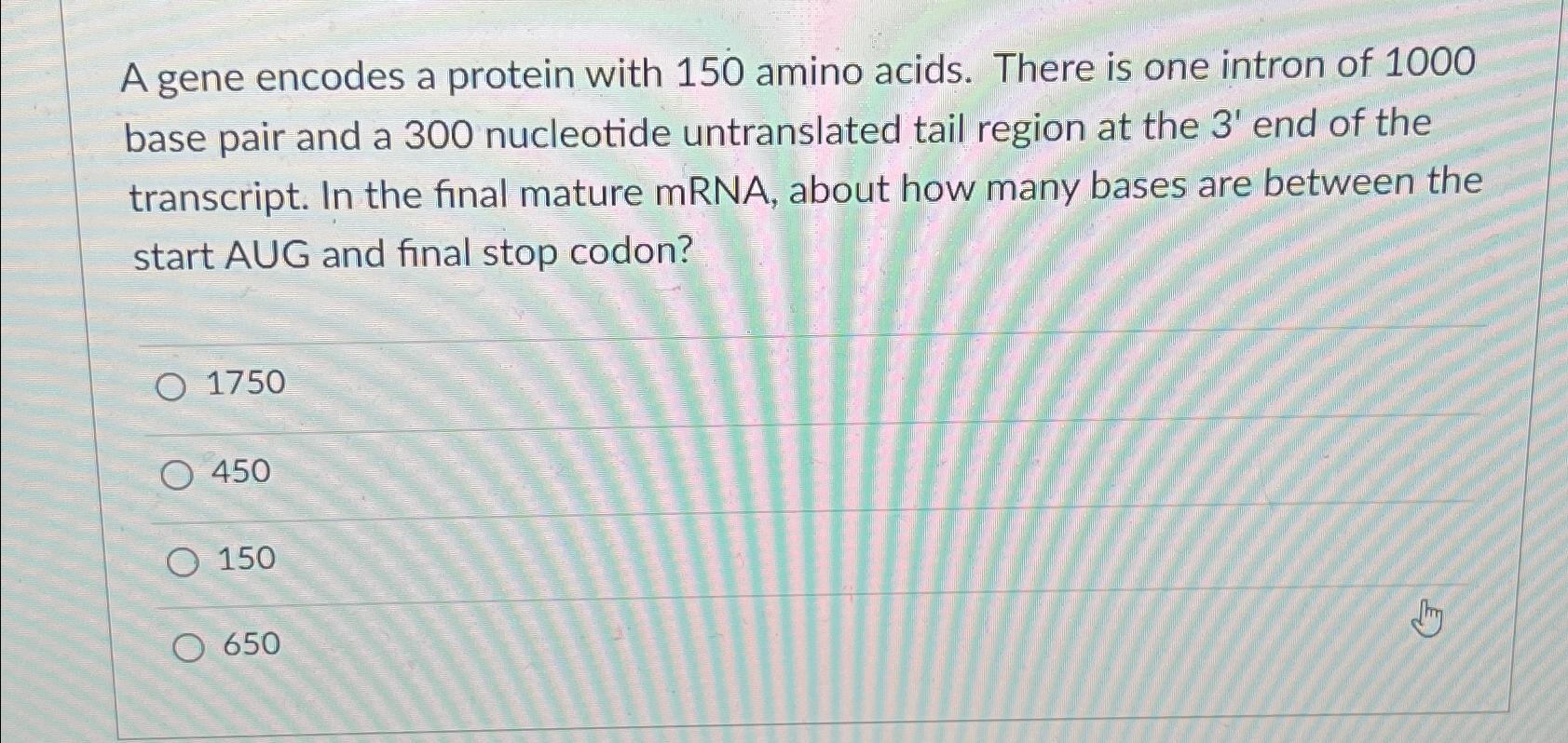 Solved A gene encodes a protein with 150 ﻿amino acids. There | Chegg.com