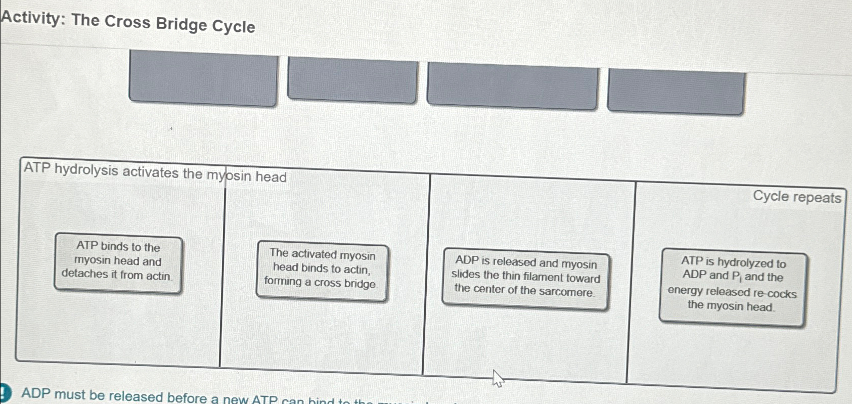 Solved Activity: The Cross Bridge Cycle\table[[\table[[ATP | Chegg.com
