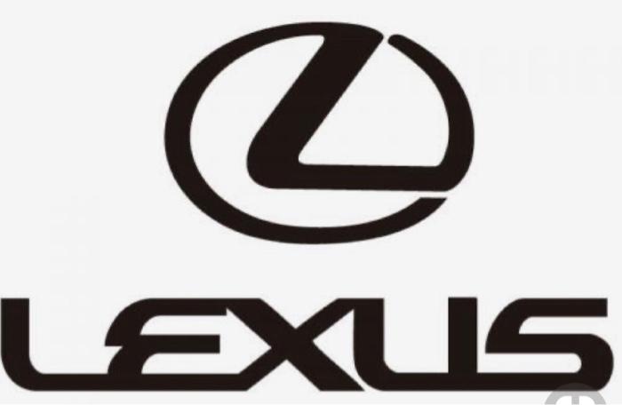 Solved draw the "lexus logo " on the graph paper provided | Chegg.com