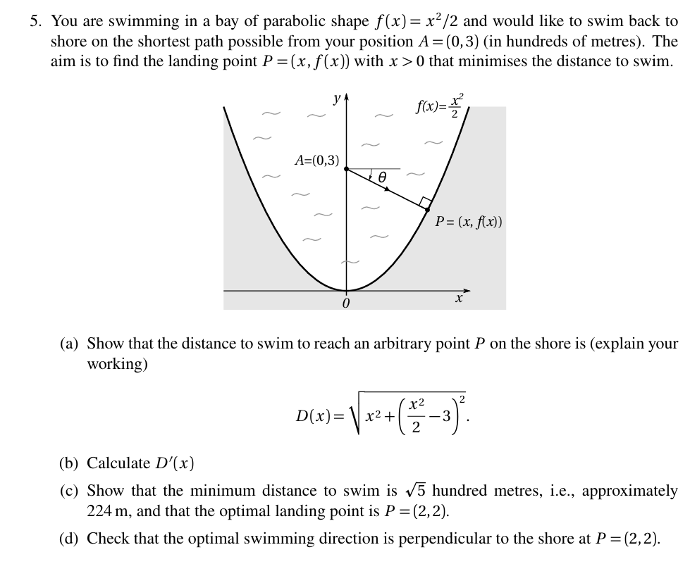 Solved You are swimming in a bay of parabolic shape f(x)=x22 | Chegg.com