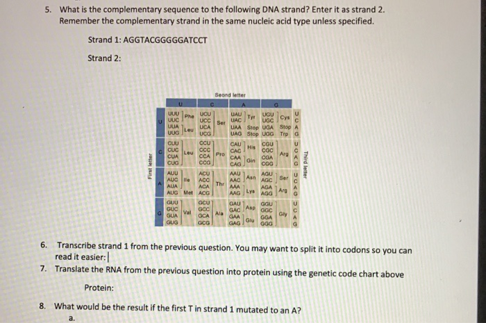 Solved 5. What is the complementary sequence to the | Chegg.com