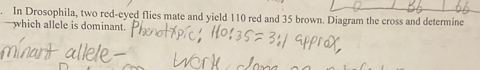 Solved In Drosophila Two Red Eyed Flies Mate And Yield 110 2767