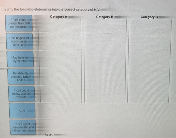 Solved Classify the following statements into the correct | Chegg.com