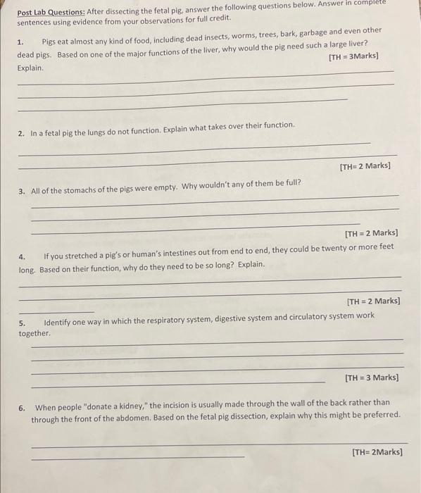 Solved Post Lab Questions: After dissecting the fetal pig, | Chegg.com