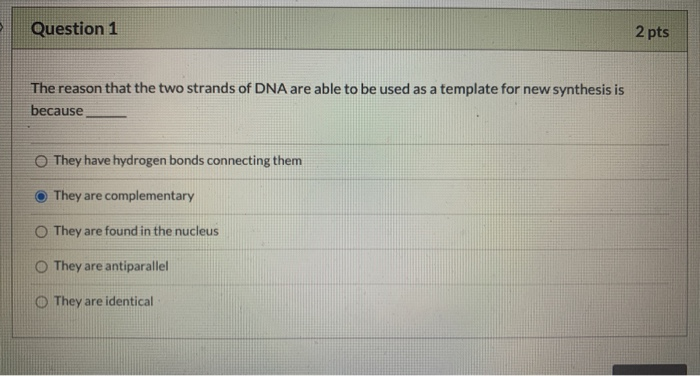 Solved D Question 1 2 pts The reason that the two strands of | Chegg.com