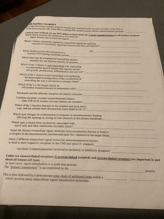 oo the tarpet ooll's puema memtrene or witin the | Chegg.com