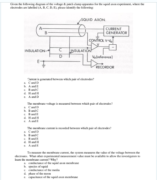 Given the following diagram of the voltage & patch | Chegg.com