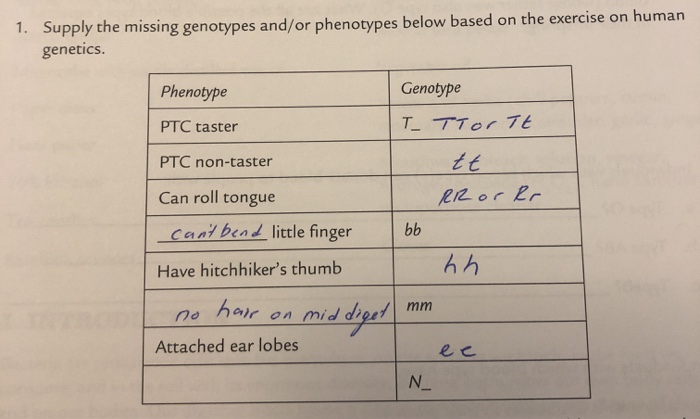 Solved 1. Supply the missing genotypes and/or phenotypes | Chegg.com