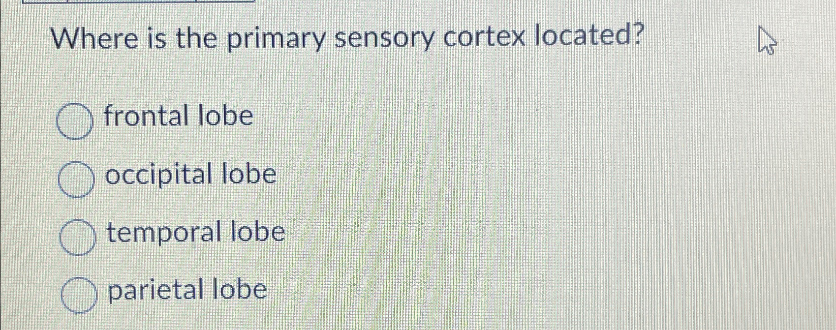 Solved Where is the primary sensory cortex located?frontal | Chegg.com