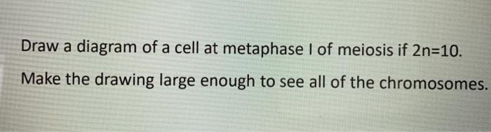 Solved Draw a diagram of a cell at metaphase I of meiosis if | Chegg.com