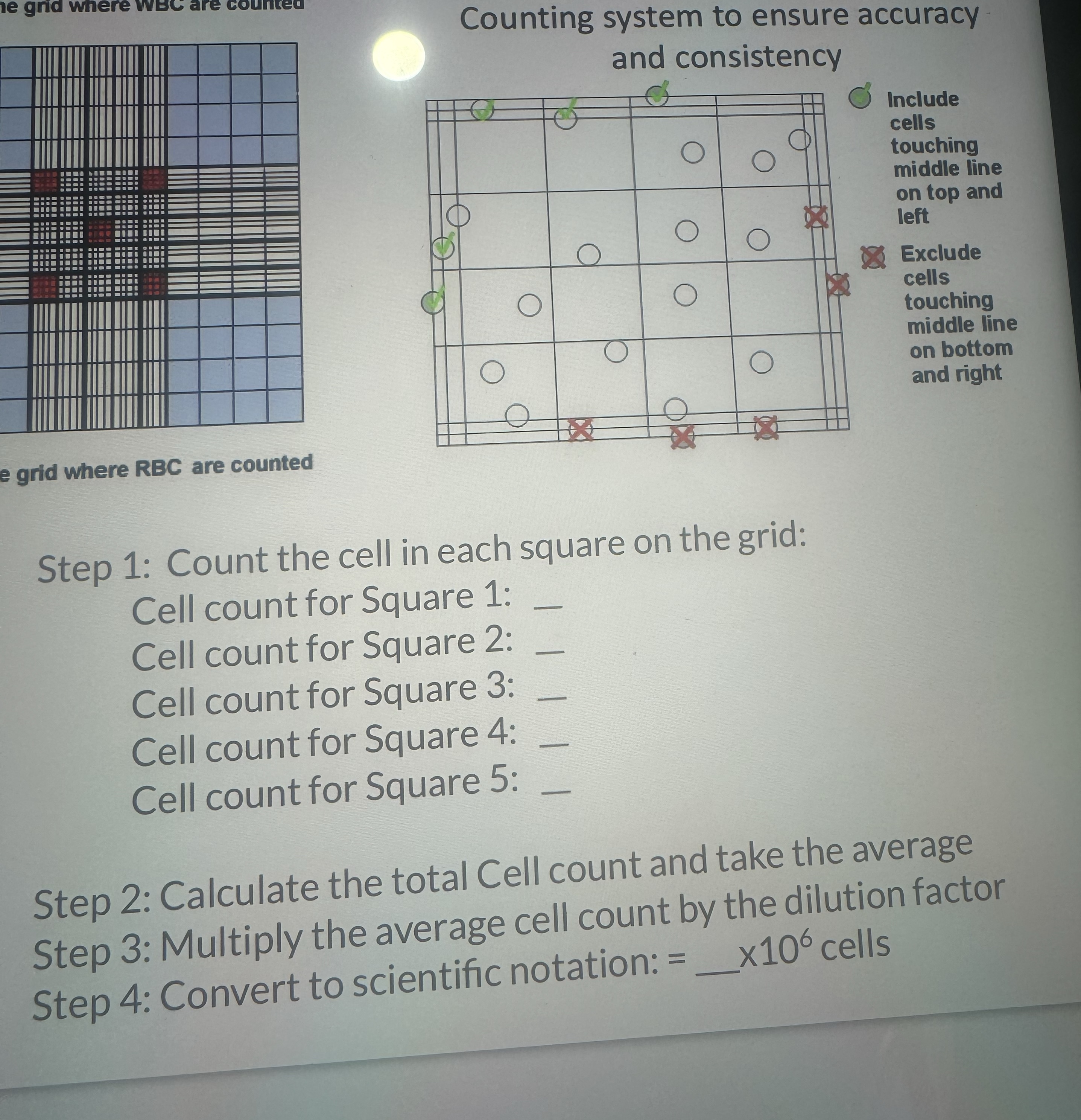 Solved Counting system to ensure accuracy and | Chegg.com