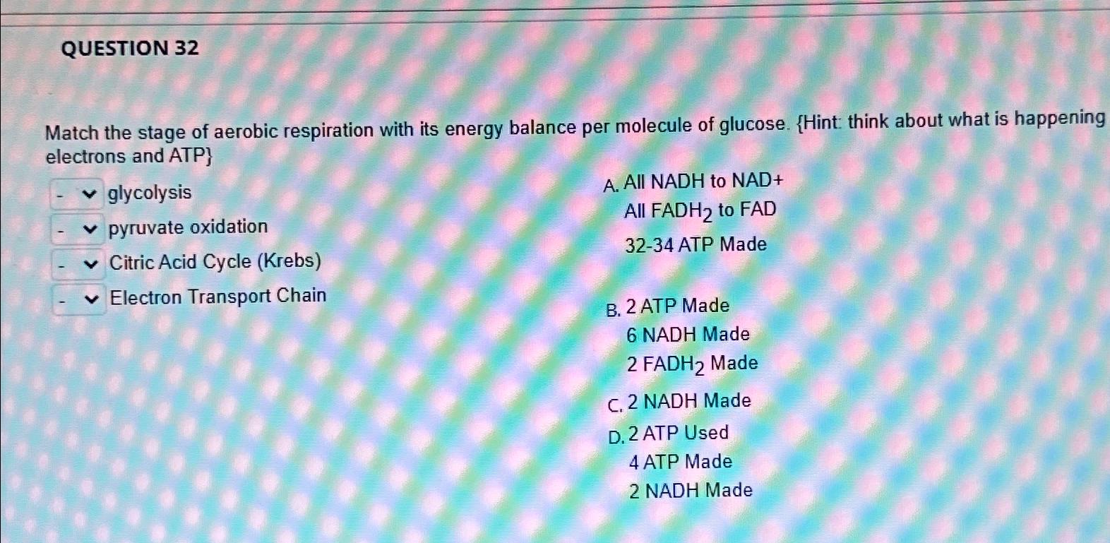 Solved QUESTION 32Match the stage of aerobic respiration | Chegg.com