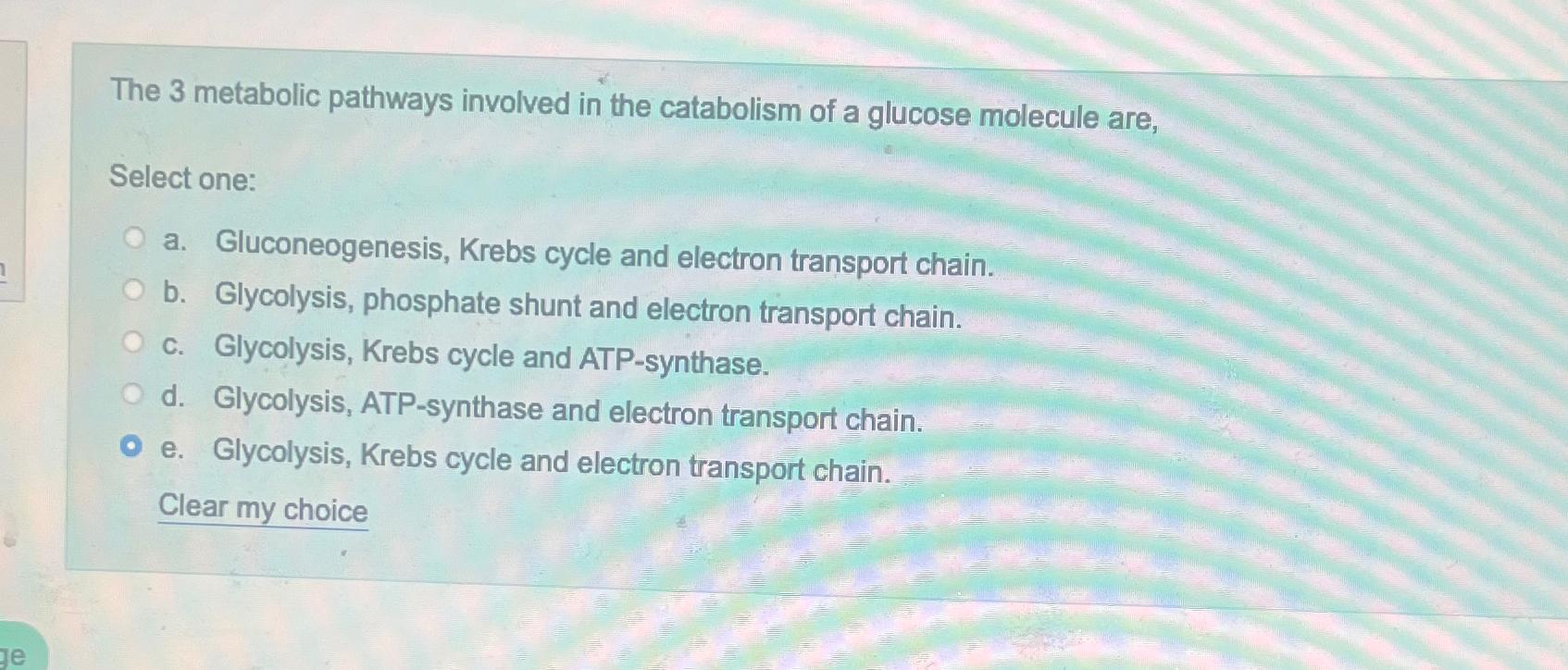 Solved The 3 ﻿metabolic pathways involved in the catabolism | Chegg.com