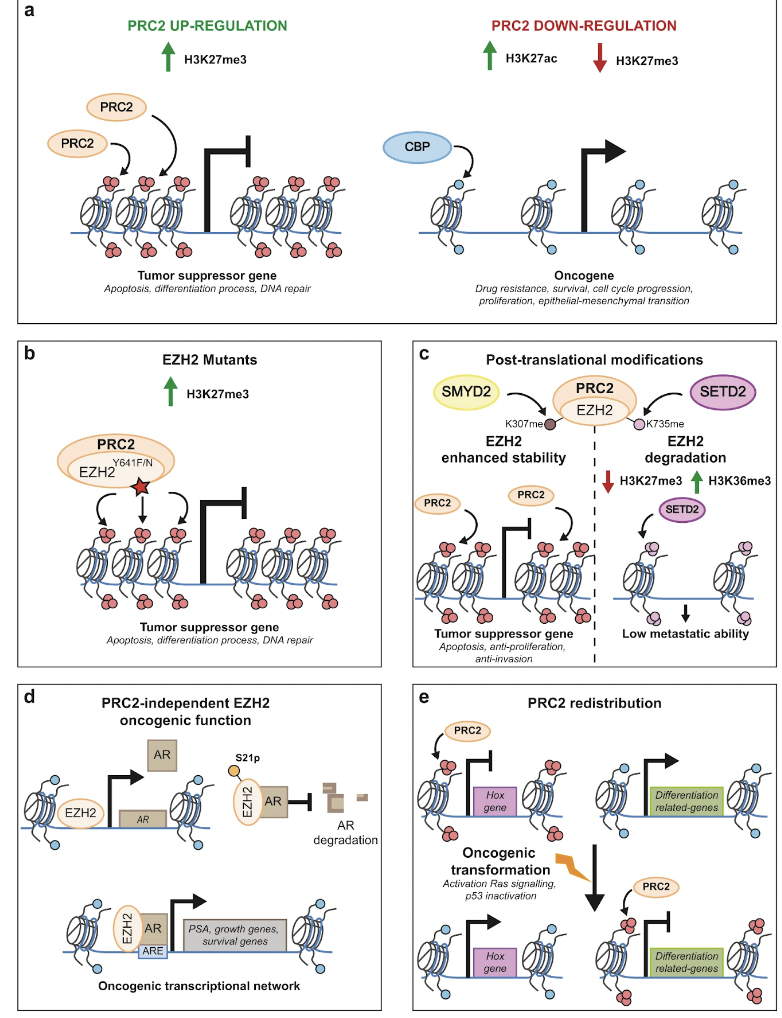 Solved Explain steps a to e in the image | Chegg.com