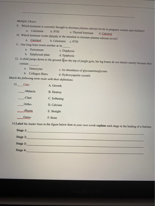 Solved Fill-in-the-blank 1. The patafollicular, or C cells, | Chegg.com