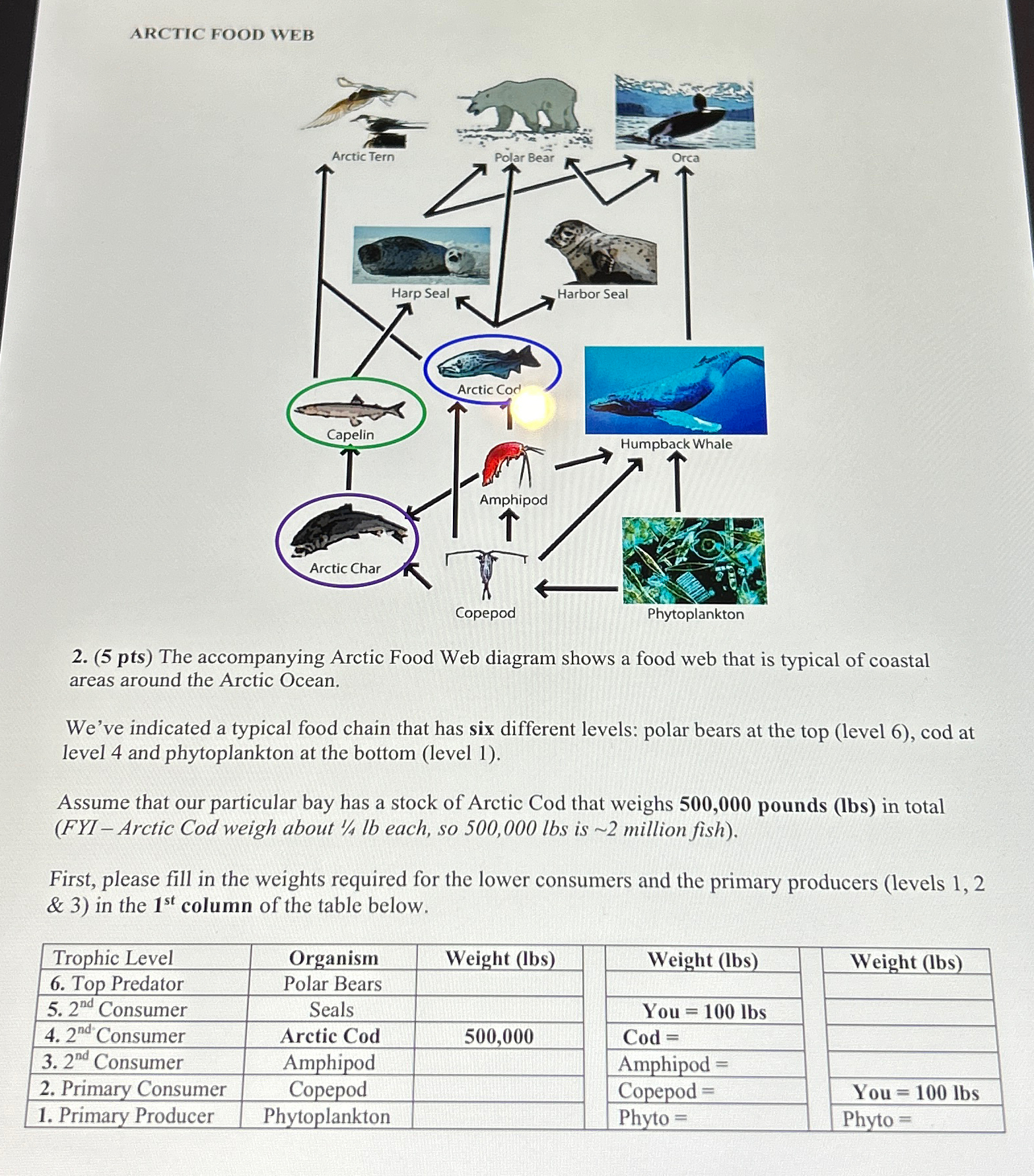 Solved ARCTIC FOOD WEB2. (5 ﻿pts) ﻿The accompanying Arctic | Chegg.com