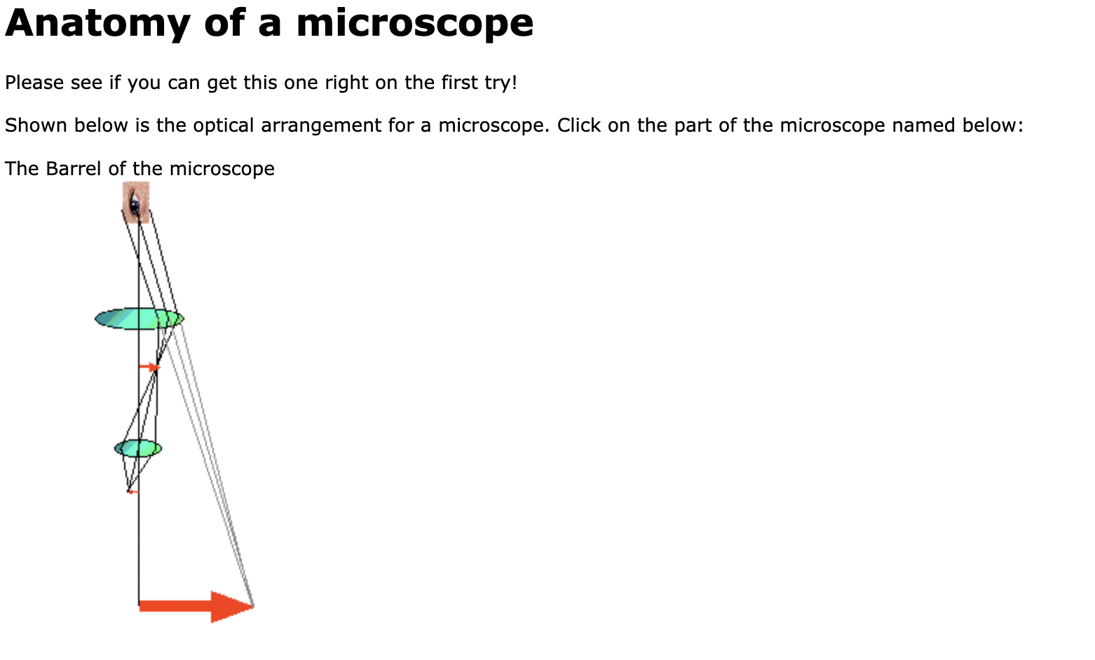 Solved Anatomy of a microscopePlease see if you can get this | Chegg.com